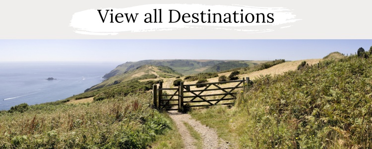 Top Dog-Friendly Destinations | PetsPyjamas